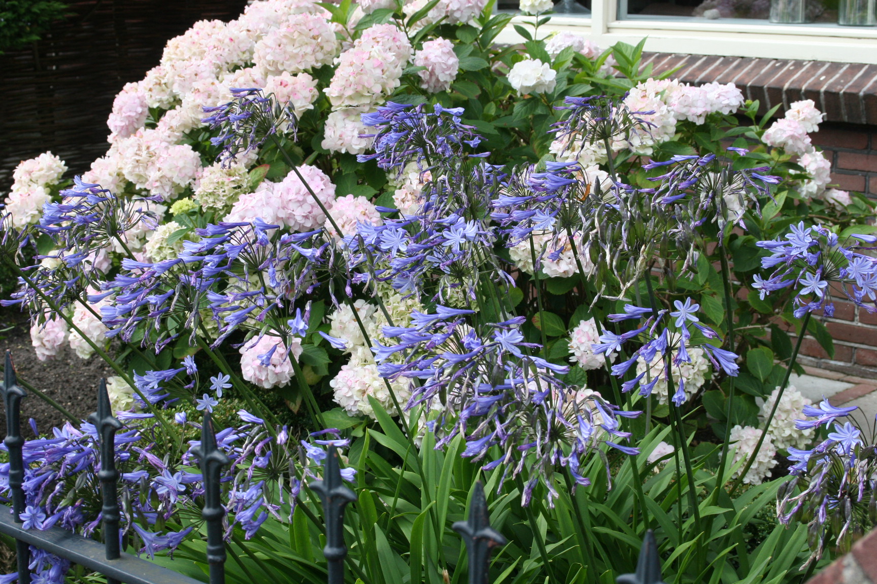 Great Perennial combinations - woonlookbook